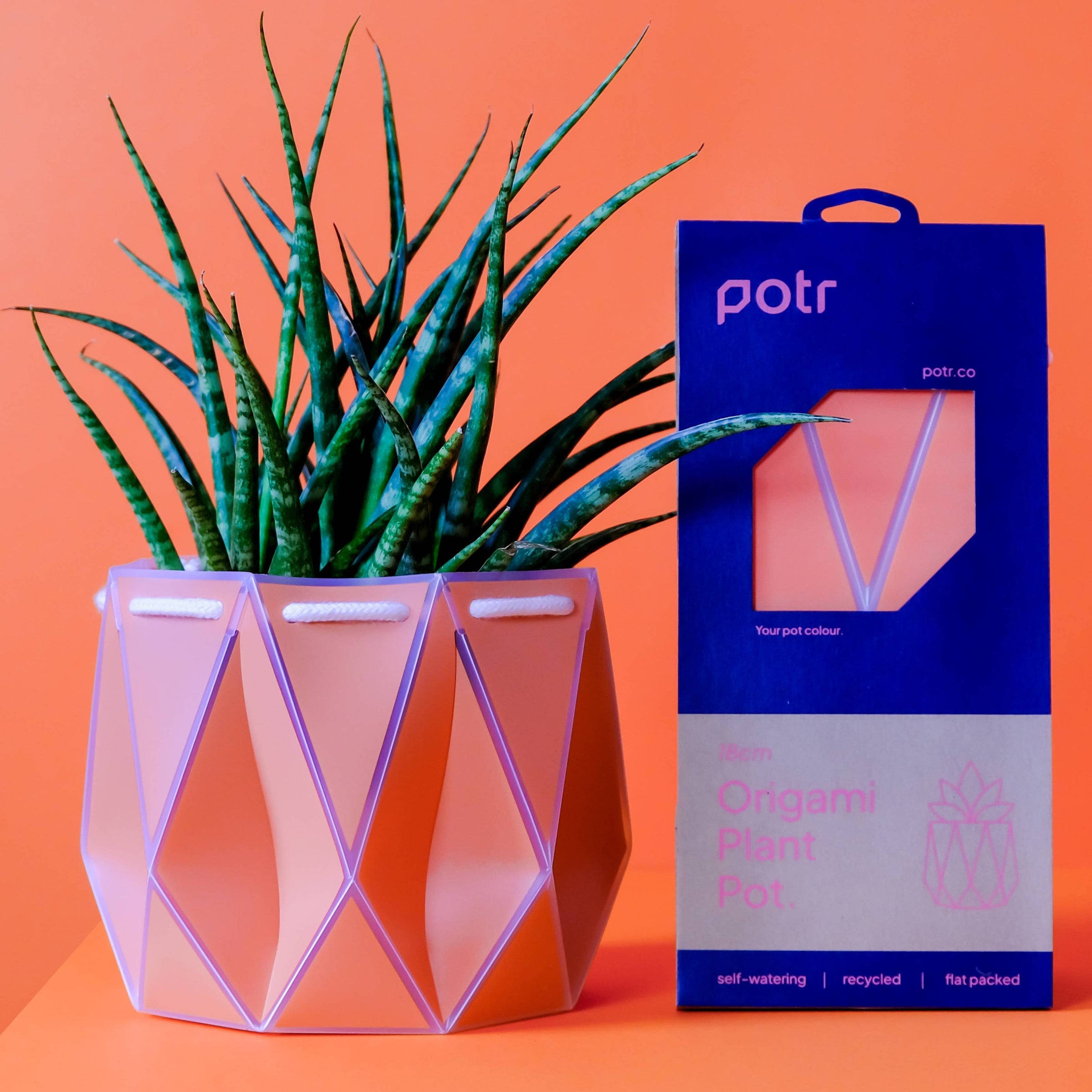 POTR Pots Self-watering Planters ~ Eco Plant Pot | Organics.com